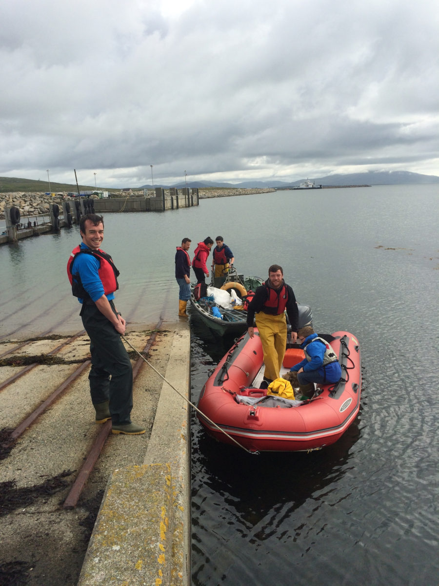 Hebridean Seafaring Sheep in the UK – Wovember