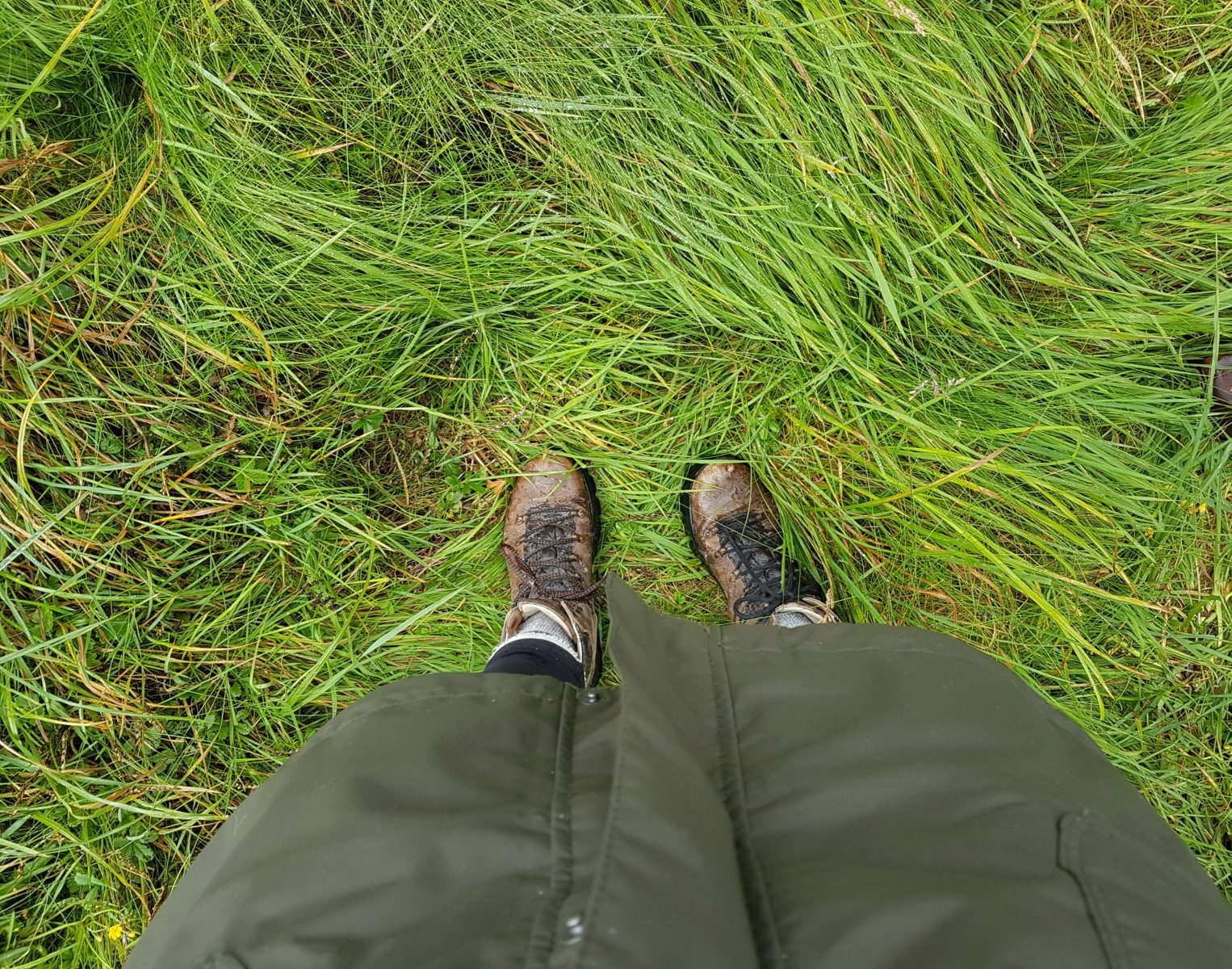 Sheepwrecked to Resc(ewe)d – Wovember